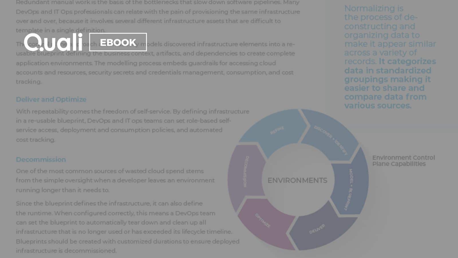 Understanding the Application Environment Control Plane